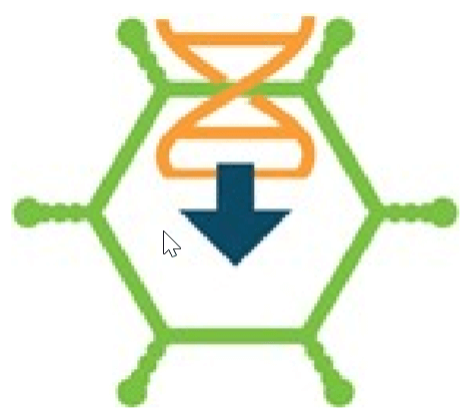 Sensitive AAV Capsid Protein Impurity Analysis by CE Using Easy to ...