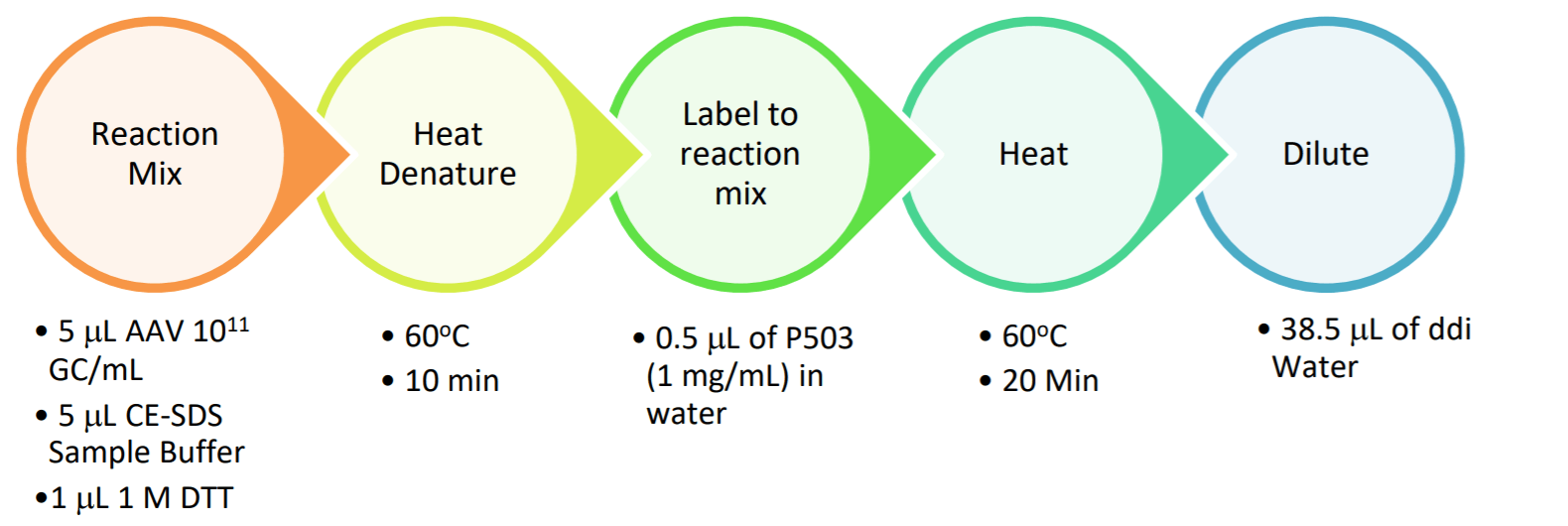 Sensitive AAV Capsid Protein Impurity Analysis by CE Using Easy to ...