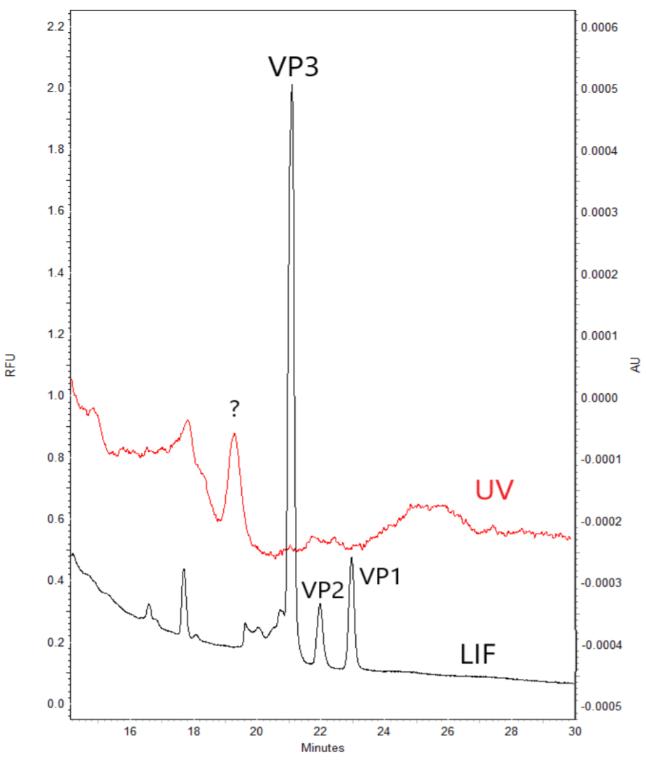Sensitive AAV Capsid Protein Impurity Analysis by CE Using Easy to ...