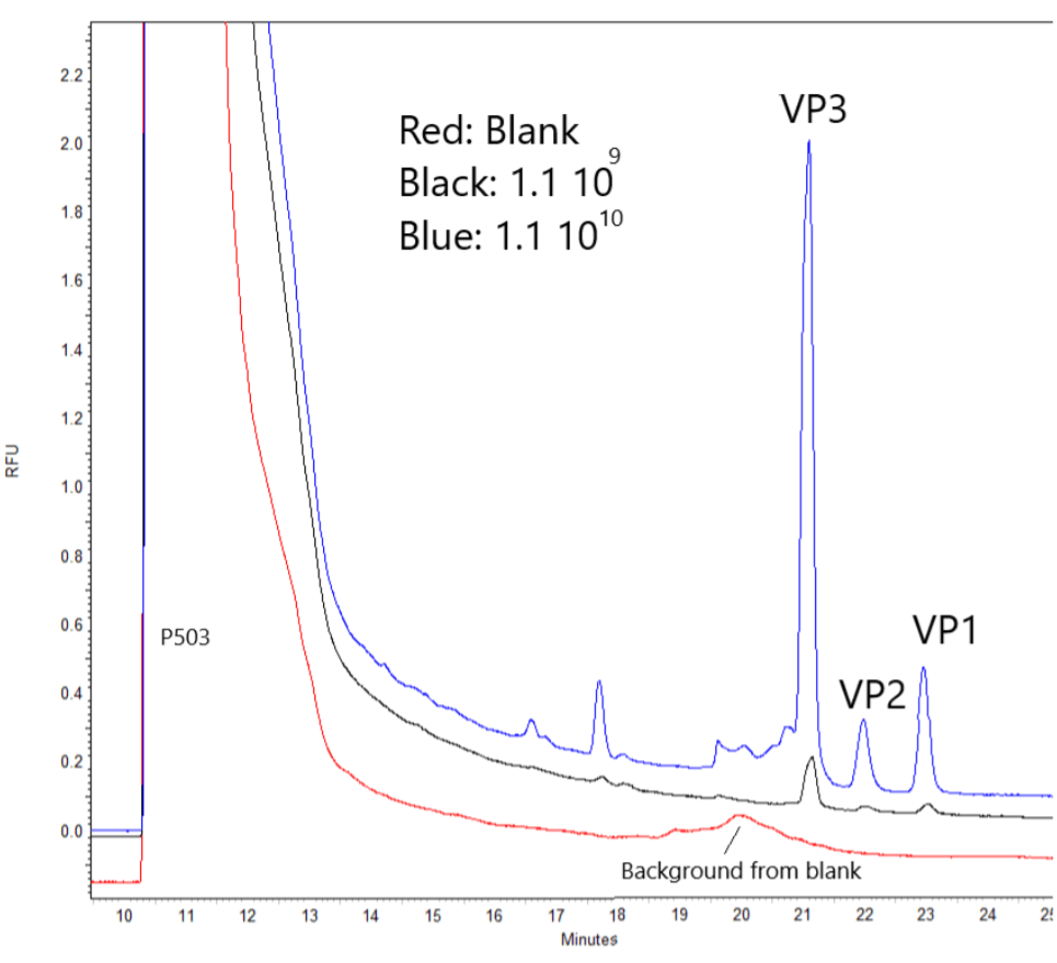 Sensitive AAV Capsid Protein Impurity Analysis by CE Using Easy to ...