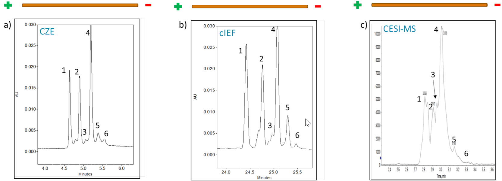 Charge Heterogeneity Analysis of Intact Infliximab Using CESI-MS and ...