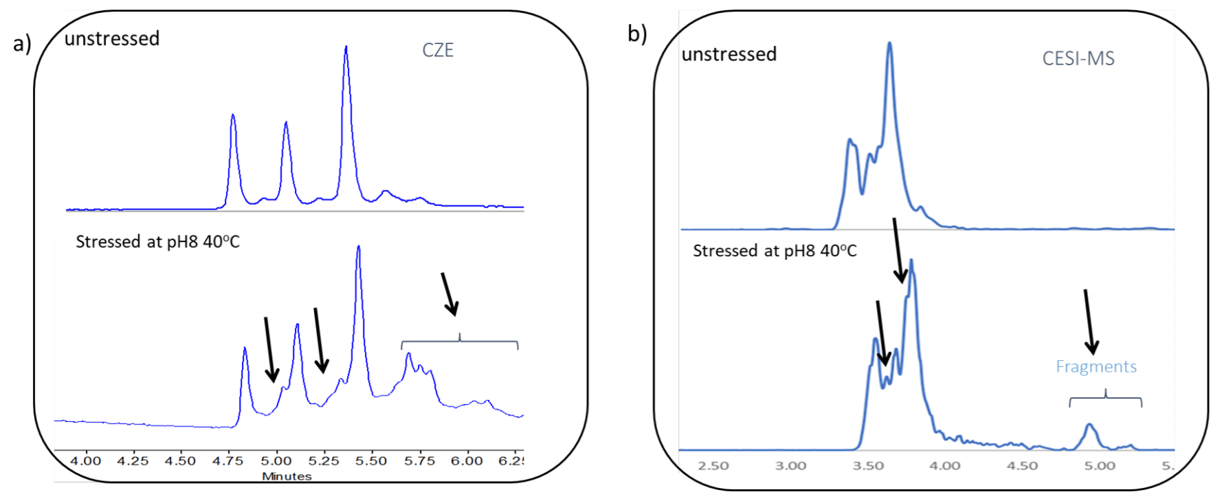 Charge Heterogeneity Analysis of Intact Infliximab Using CESI-MS and ...